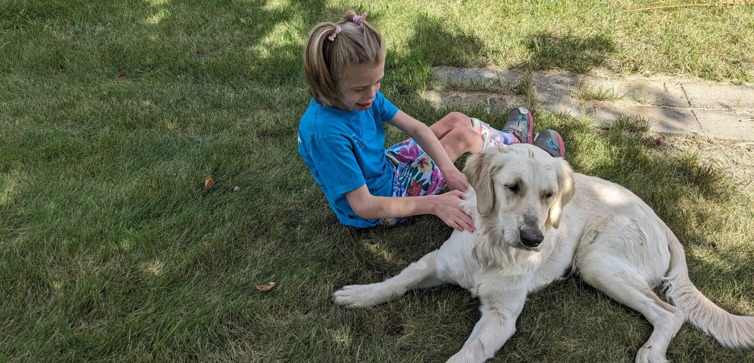 Meet Dolli, Our 150th Stink Bug Dog and Hanora’s Best Friend | Rocky ...